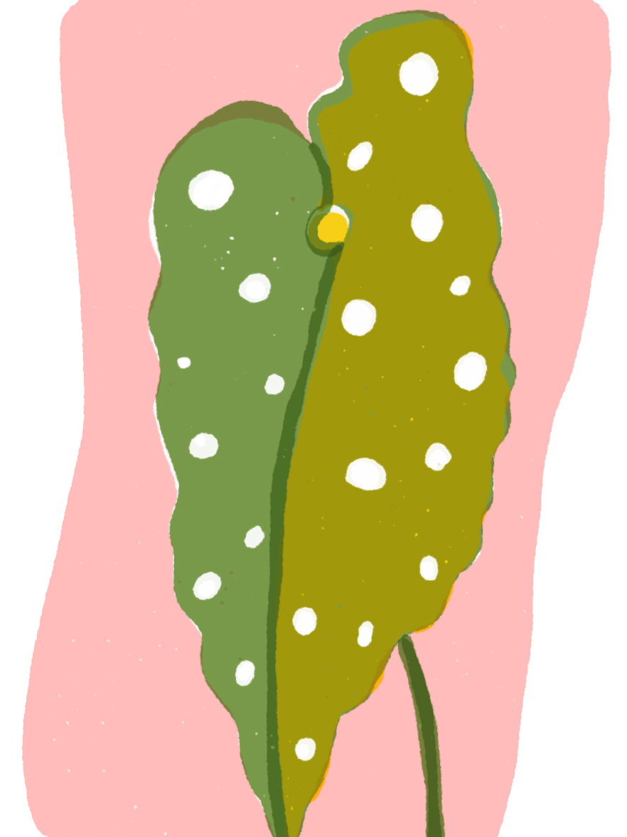 Thomas the Gardener – Tagline…